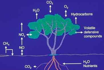 Research – Sparks Lab